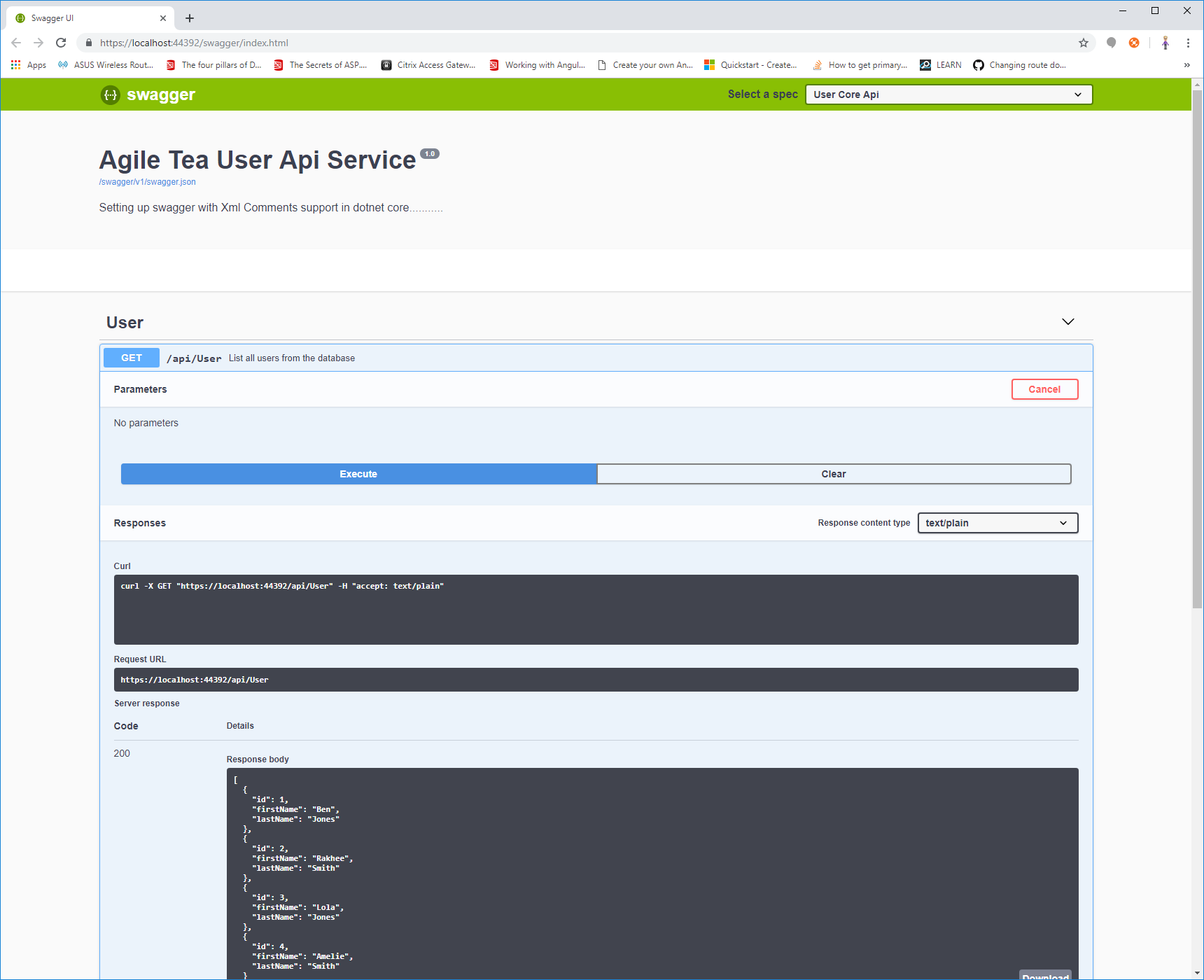 Set Up Swagger With Swashbuckle In Dotnet Core Jonesbusy